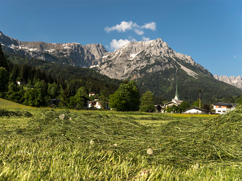Scheffau - Scheffau am Wilden Kaiser